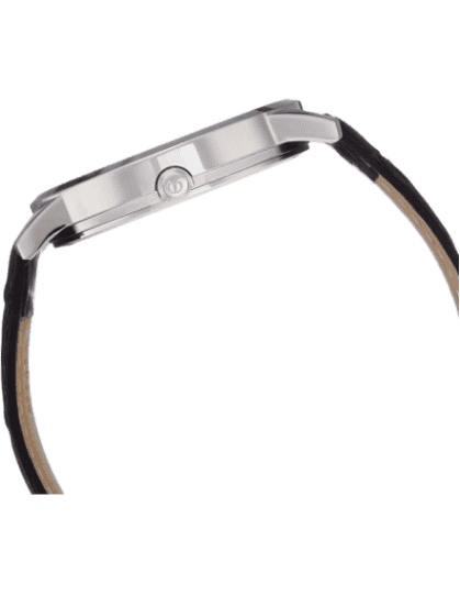 Buy Titan 1769SL04 Watch in India I Swiss Time House