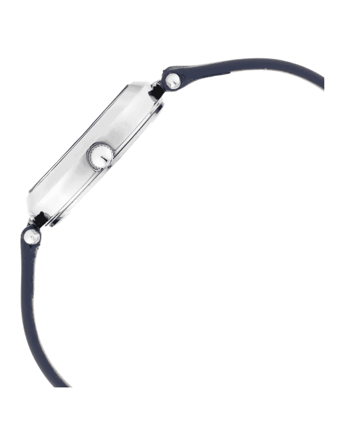 Buy Titan 2606SL02 Watch in India I Swiss Time House