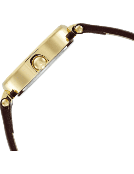 Buy Titan 2579YL01 Watch in India I Swiss Time House