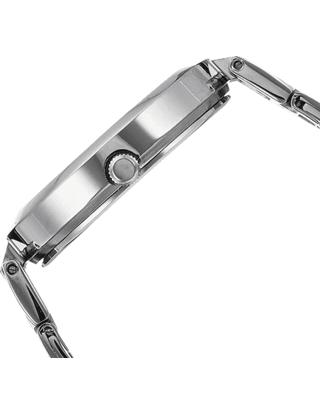 Buy Titan 2480SM02 Watch in India I Swiss Time House