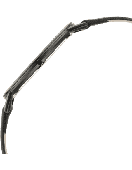 Buy Titan 1595NL04 Watch in India I Swiss Time House