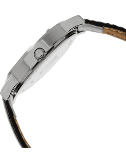 Buy Titan 1639SL03 Watch in India I Swiss Time House