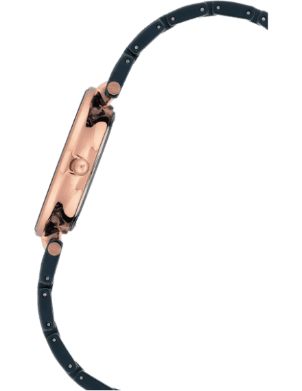 Buy Anne Klein AK3266NVRG Watch in India I Swiss Time House