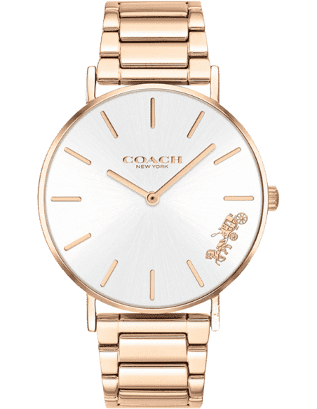 Buy Coach CO14503576W Watch in India I Swiss Time House