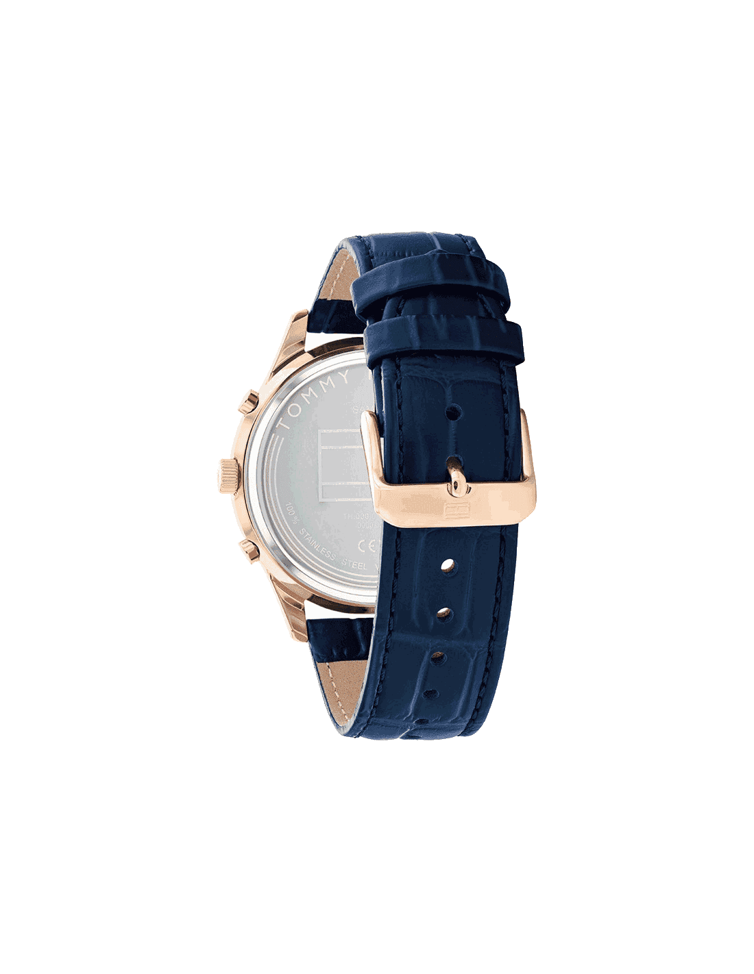 Buy Tommy Hilfiger TH1710503 Watch in India I Swiss Time House