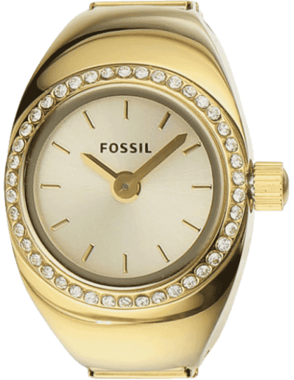 Fossil (8)