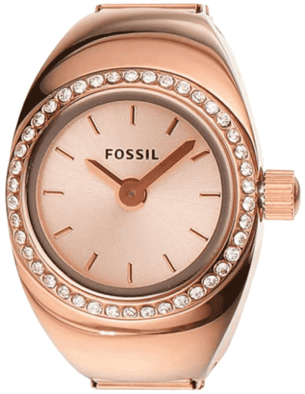 Fossil (6)