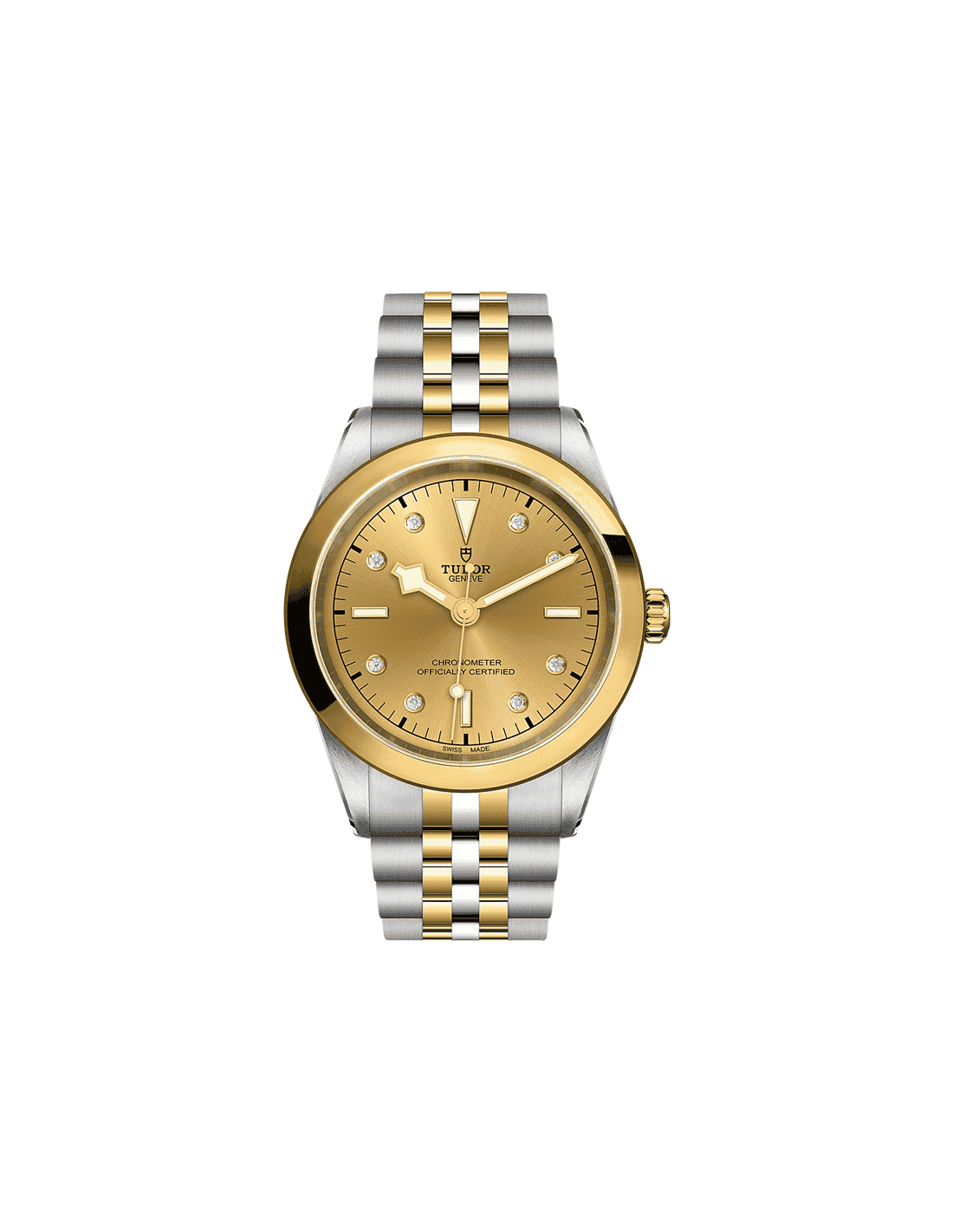 Explore Tudor Black Bay 31/36/39/41 Watches | Swiss Time House India