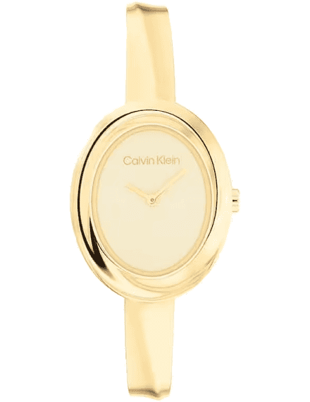 Calvin Klein - Authorised Retailer - SwissTimeHouse.com