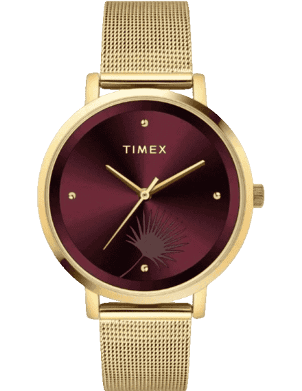Timex Watches for Men & Women in India | Swiss Time House (4)