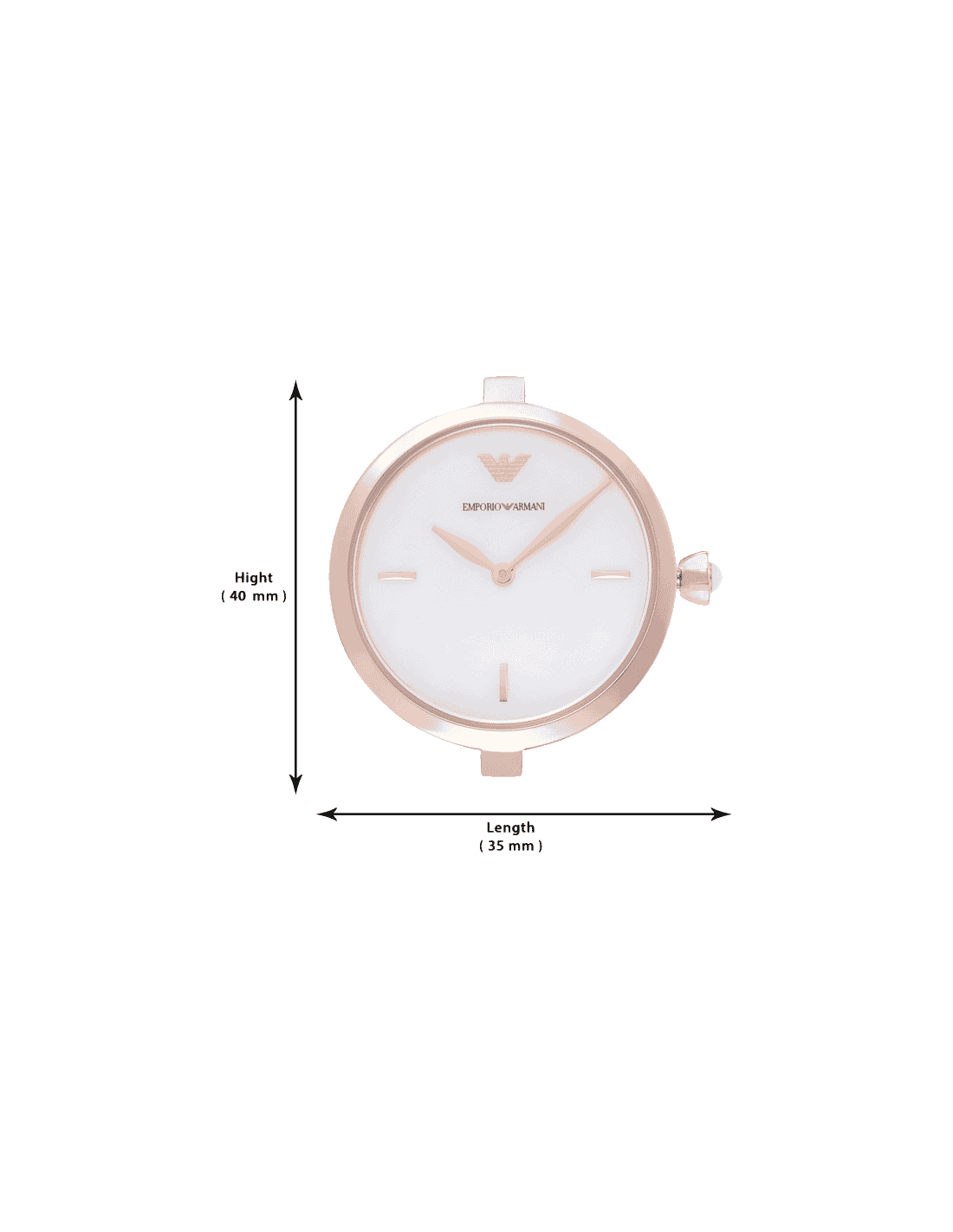 Buy Emporio Armani AR11196 Watch in India I Swiss Time House