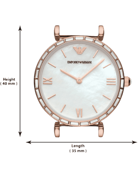 Buy Emporio Armani AR11294 Watch in India I Swiss Time House