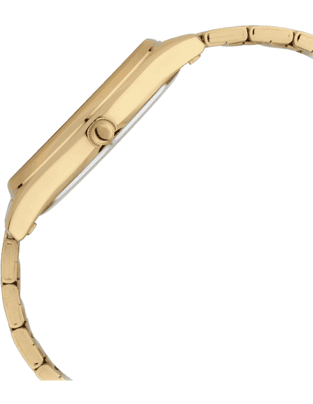 Buy Titan 1713YM06 Watch in India I Swiss Time House