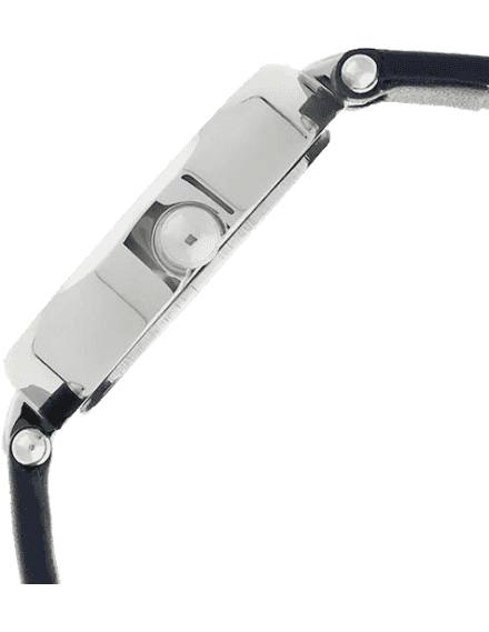 Buy Titan 2579SL01 Watch in India I Swiss Time House