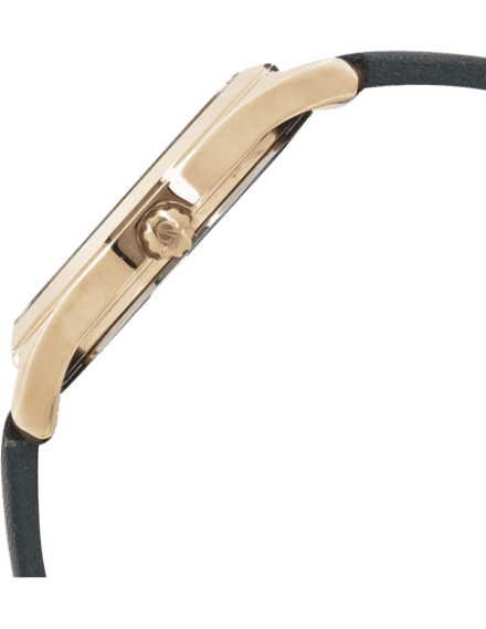 Buy Titan 2596WL01 Watch in India I Swiss Time House