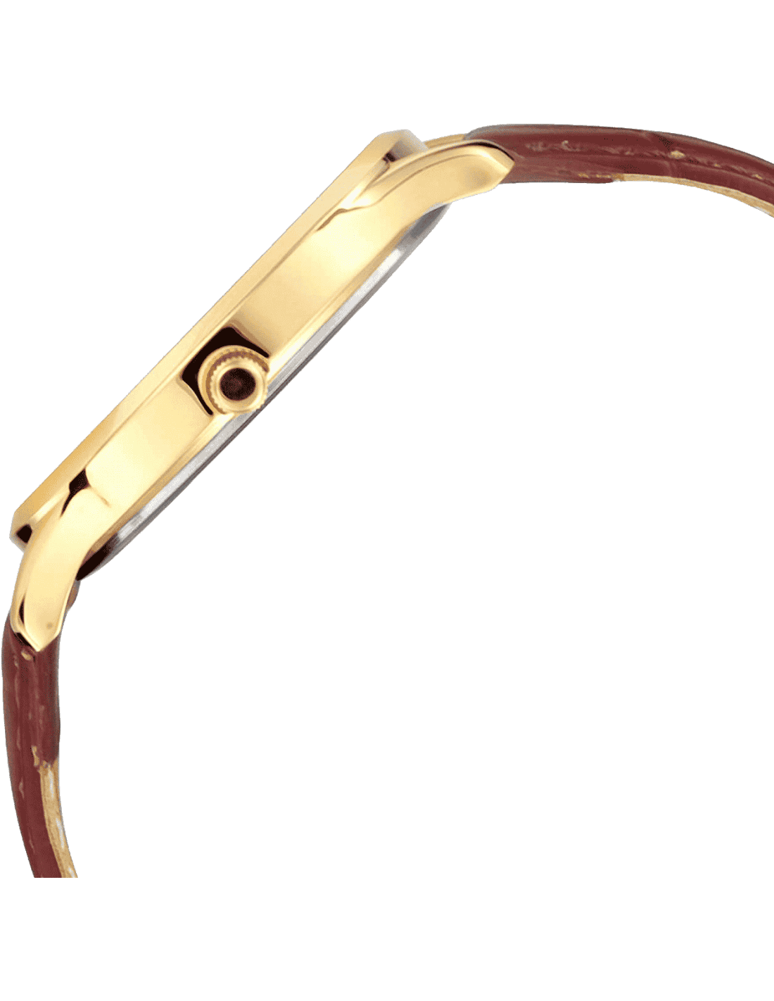 Buy Titan 1825YL01 Watch in India I Swiss Time House