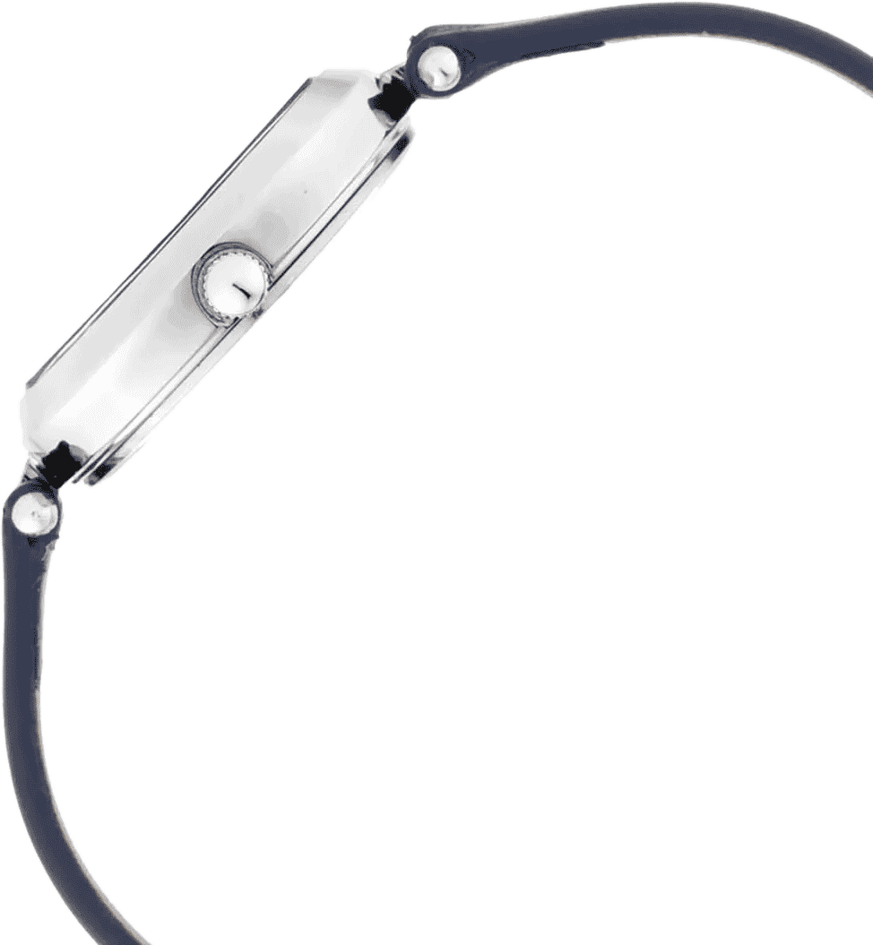 Buy Titan 2606SL02 Watch in India I Swiss Time House