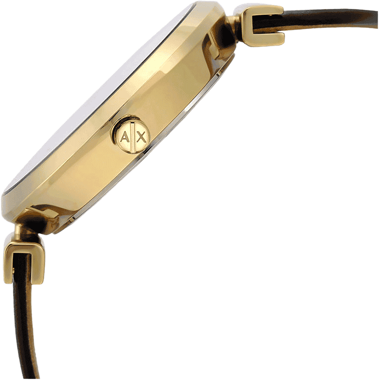 Buy Armani Exchange AX5903 Watch in India I Swiss Time House