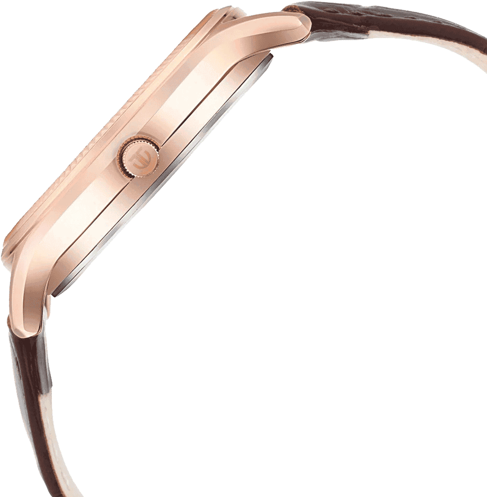 Buy Titan 1824WL02 Watch in India I Swiss Time House