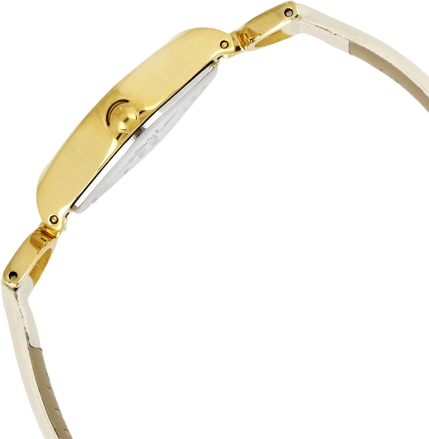 Buy Titan 2531YL01 Watch in India I Swiss Time House