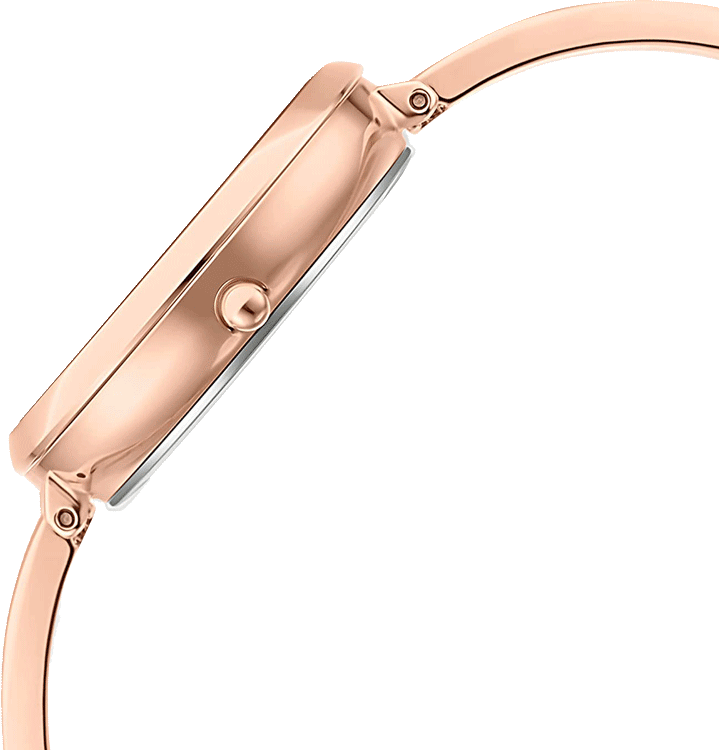 Buy Titan 2647WM01 Watch in India I Swiss Time House
