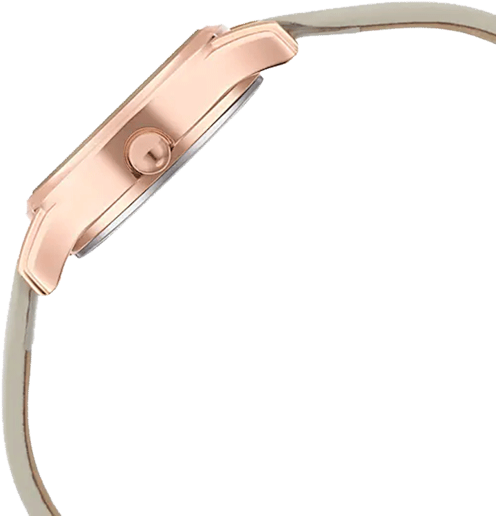 Buy Titan 2656WL01 Watch in India I Swiss Time House