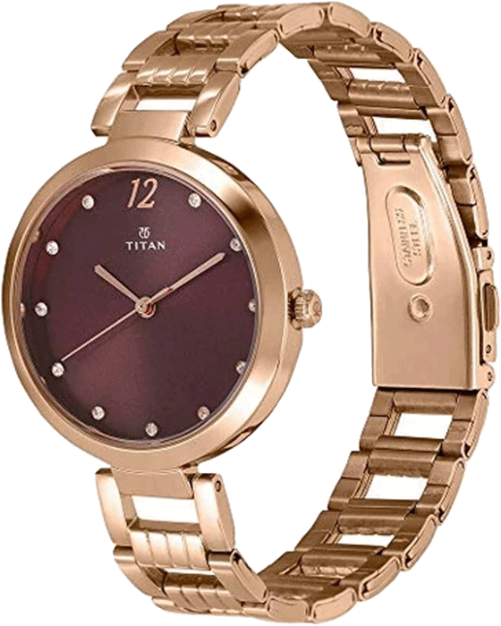 Buy Titan 2480WM02 Watch in India I Swiss Time House