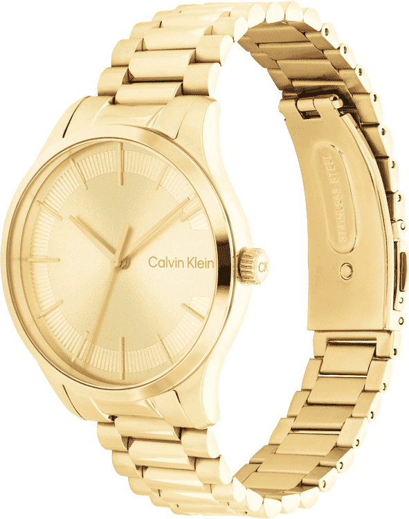 Buy Calvin Klein 25200043 Watch in India I Swiss Time House