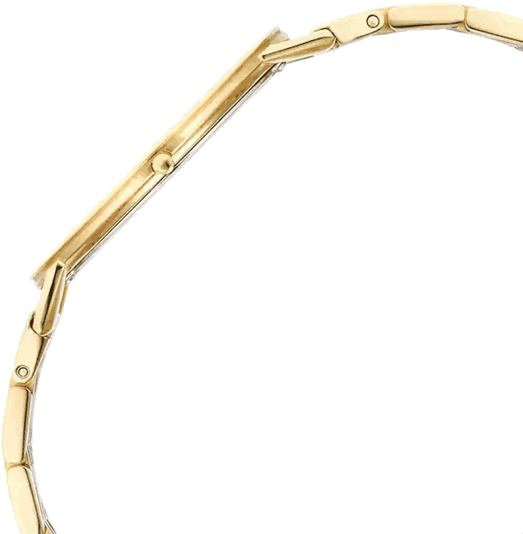 Buy Titan 1595YM01 Watch in India I Swiss Time House