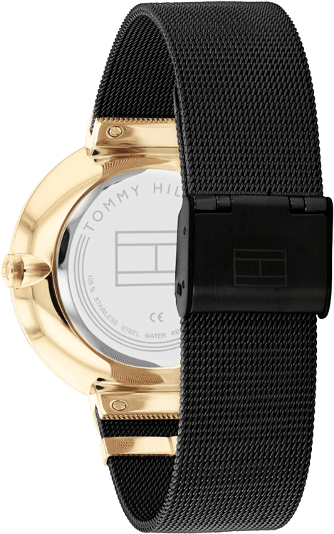 Buy Tommy Hilfiger TH1782540 Watch in India I Swiss Time House