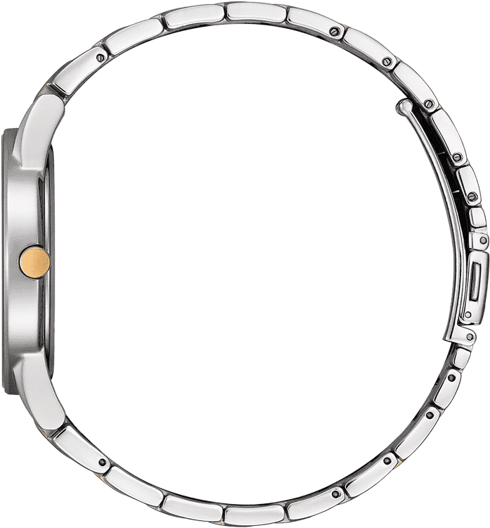 Buy Citizen AU1064-85L Watch in India I Swiss Time House