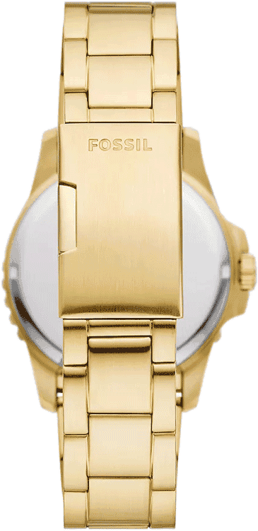 Buy Fossil FS6030 Watch in India I Swiss Time House