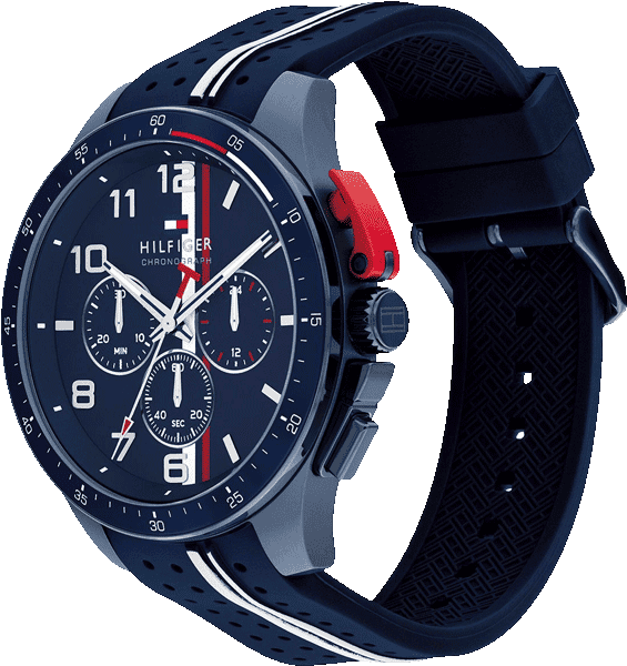 Buy Tommy Hilfiger Tommy Hilfiger TH1792169 Watch in India I Swiss ...