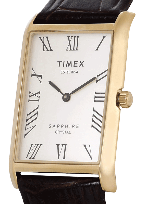 Buy Timex TWEG17302 Watch in India I Swiss Time House