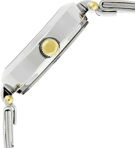 Buy Titan 2574BM01 Watch in India I Swiss Time House