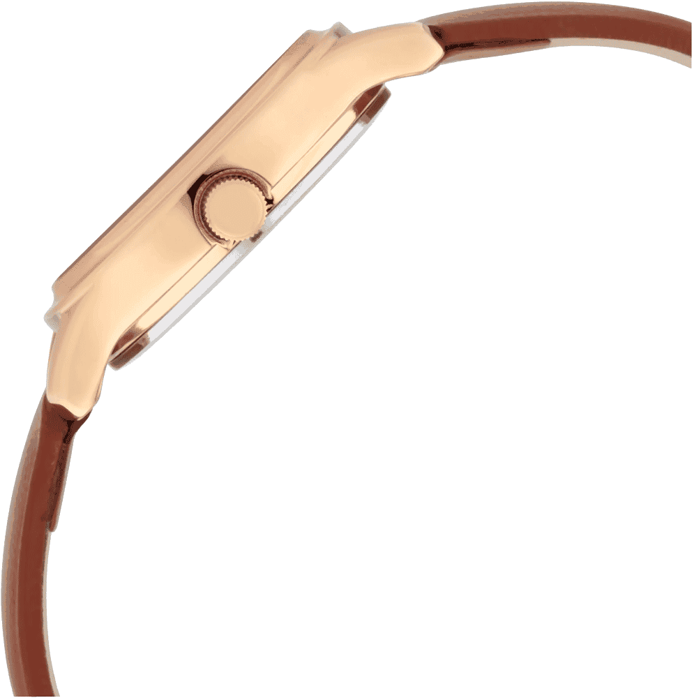 Buy Titan 2638WL01 Watch in India I Swiss Time House