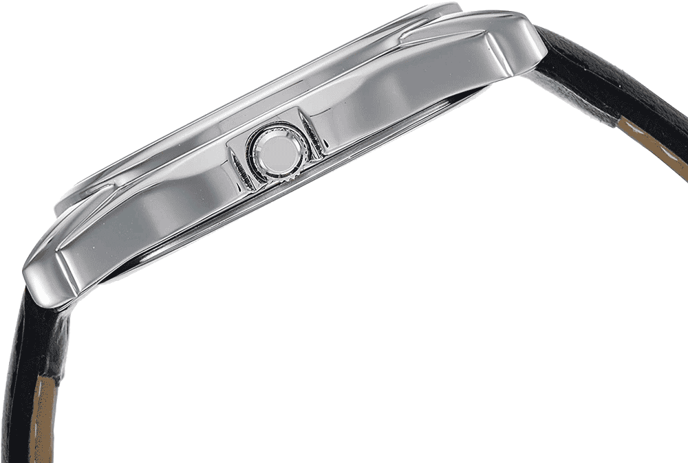 Buy Titan 1578SL06 Watch in India I Swiss Time House